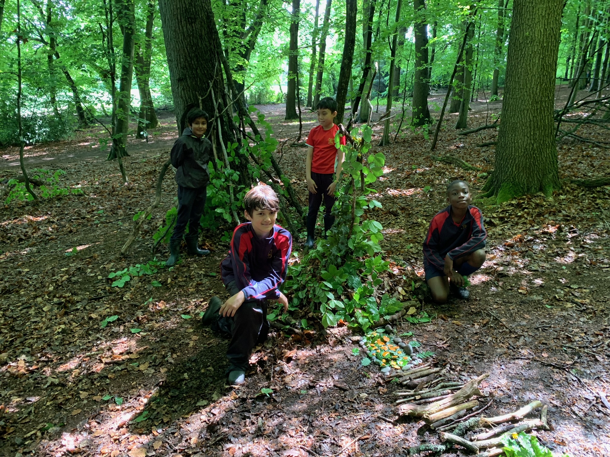 Year 5 Art Lesson Based On The Work Of Andy Goldsworthy Elmhurst