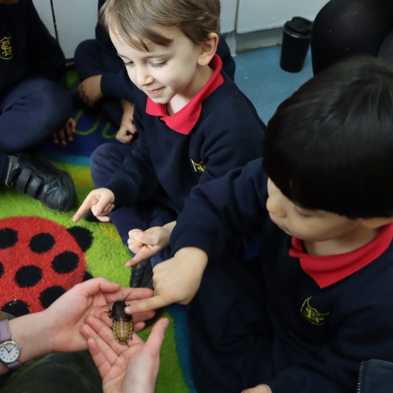 Elmhurst School | An Independent Prep School | Zoo Lab Visit's Early ...