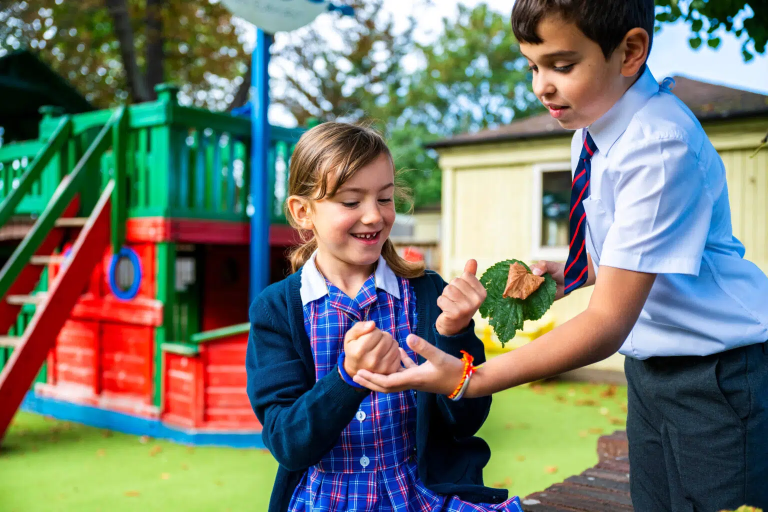 Elmhurst School | An Independent Prep School | Head's Blog: Co ...